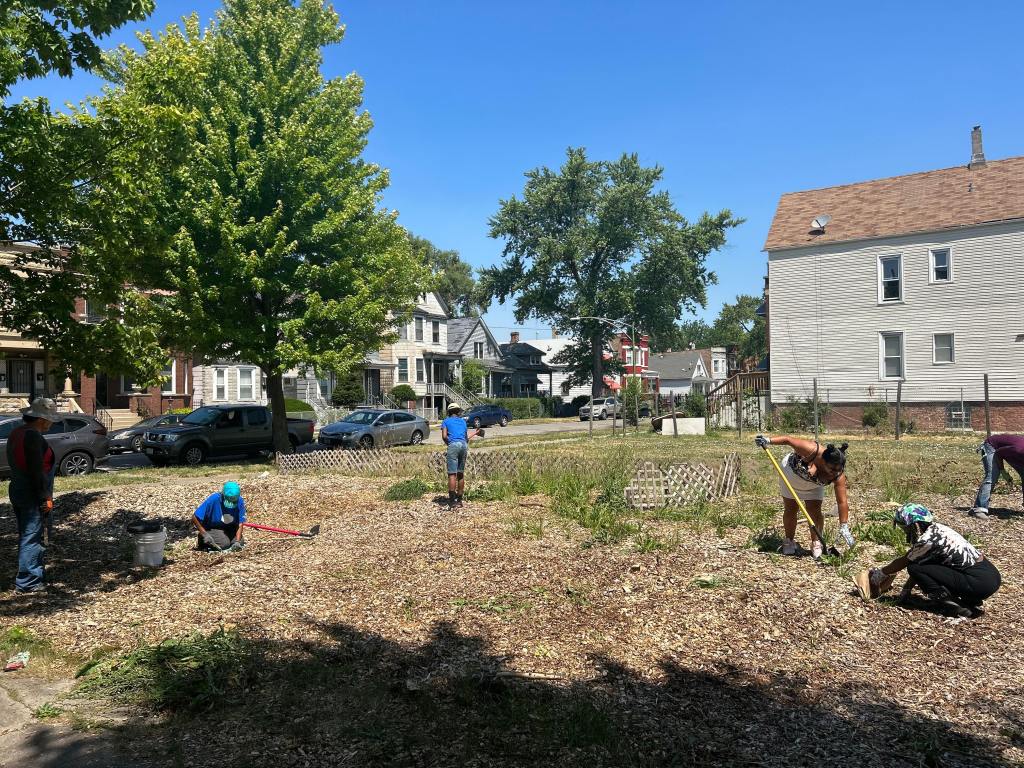 Services – The Green Lots Project